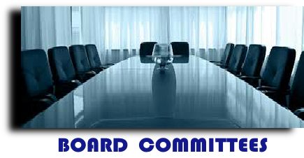 Board Committees